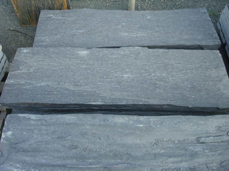 Schistes - Embelya Mont de Marsan